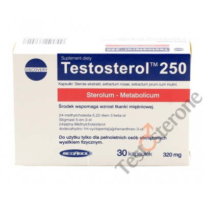 megabol testosterol - testosterol megabol sklep