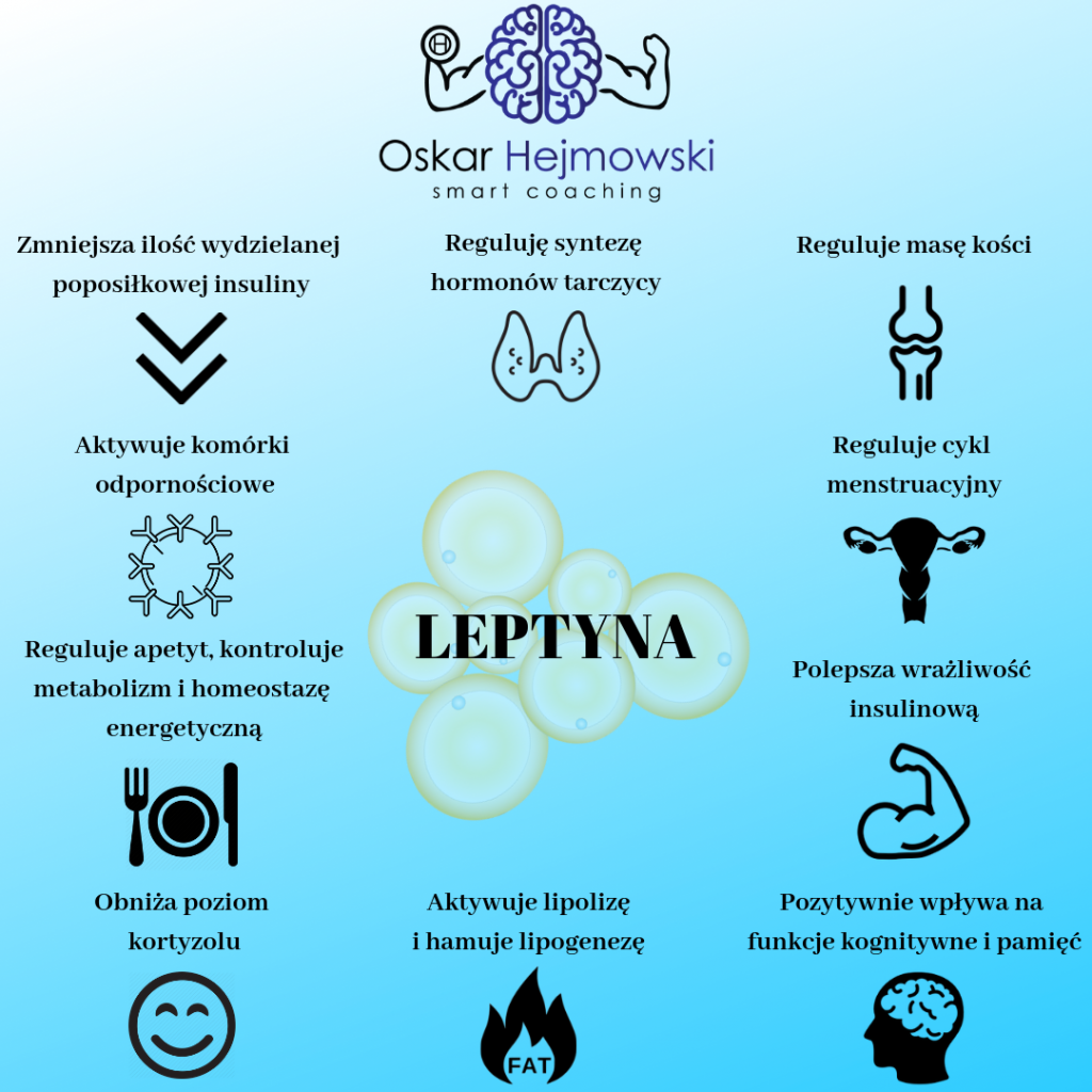 Leptyna - hormon sytości, czy coś więcej? - Testosterone Wiedza