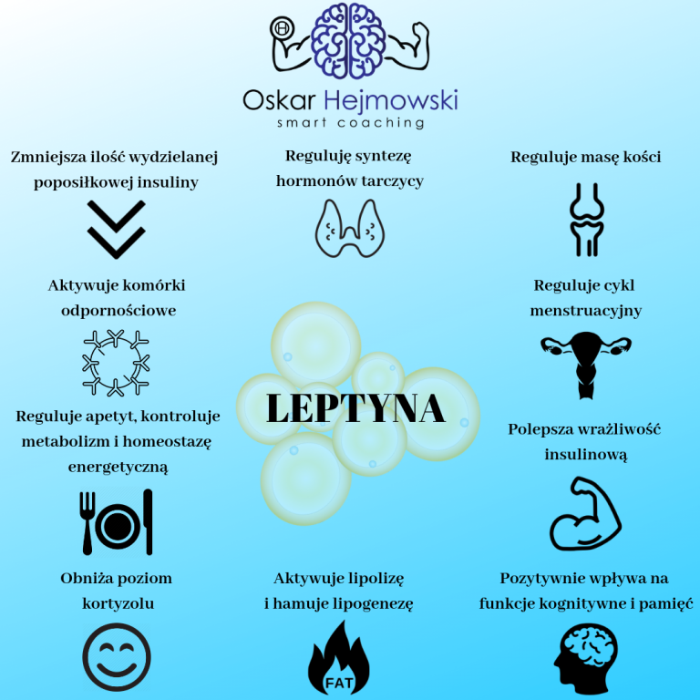 Leptyna - hormon sytości, czy coś więcej? - Testosterone Wiedza