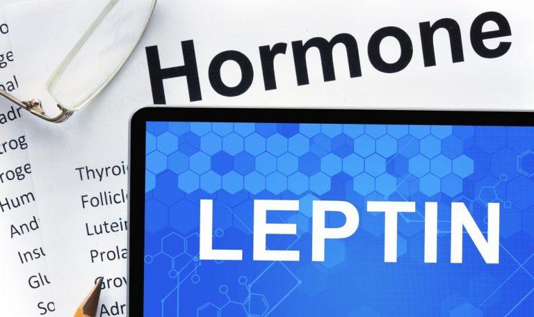 Leptyna - hormon sytości, czy coś więcej? - Testosterone Wiedza