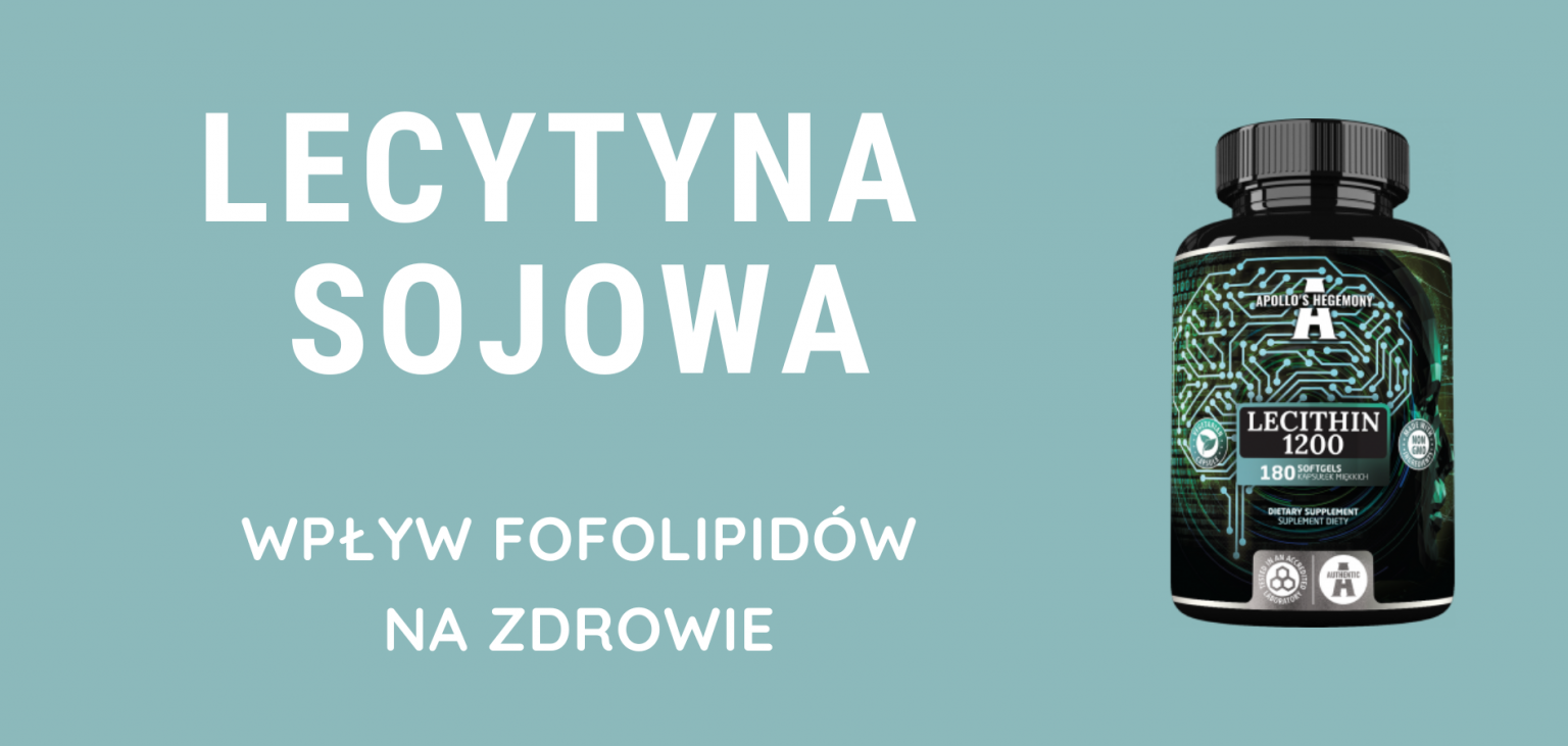Lecytyna Sojowa (Fofolipidy) - wpływ na organizm - Testosterone Wiedza